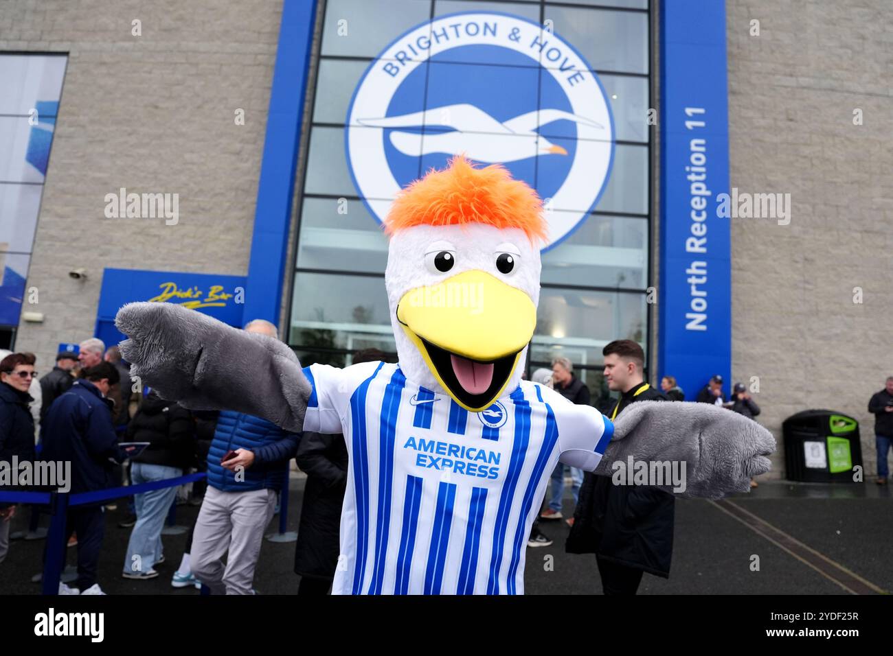 Brighton and Hove Albion's mascot before the Premier League match at ...