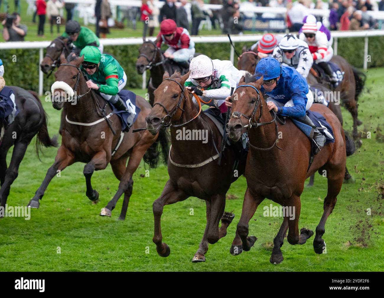 2024 futurity trophy at doncaster racecourse hi-res stock photography ...
