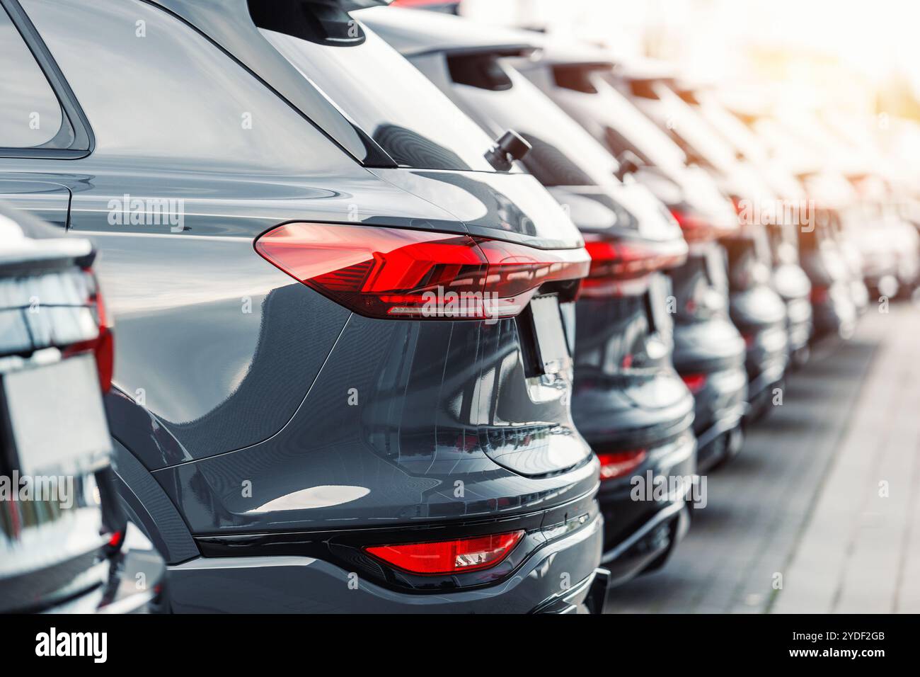 Back view many modern new SUV cars fleet stock at dealership parking ...