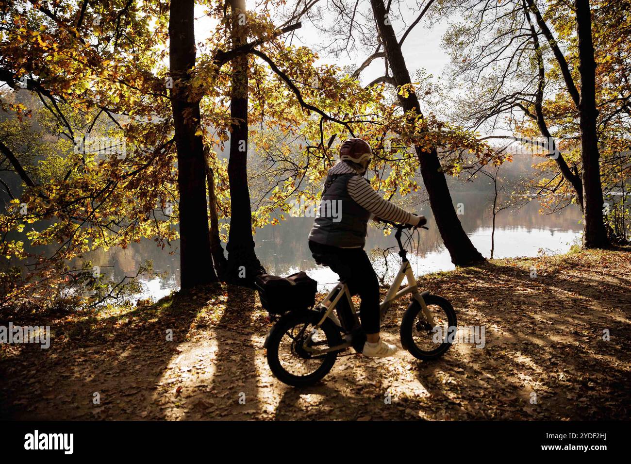 Lanke, Germany. 26th Oct, 2024. A woman rides her bike along the ...