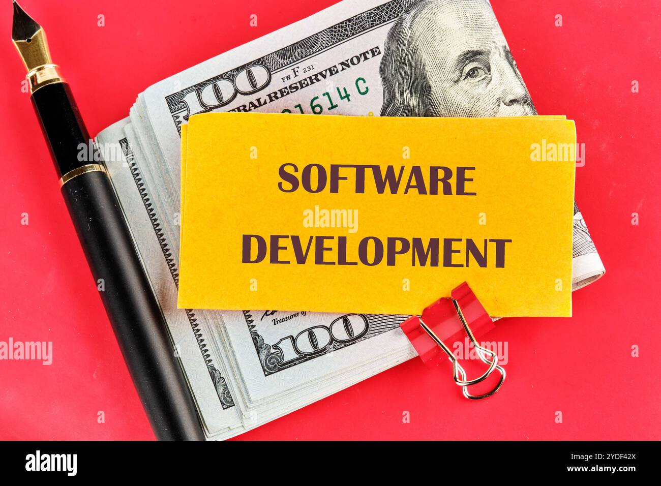 The concept of technology and development. Phrase, words, text SOFTWARE DEVELOPMENT on a yellow ...