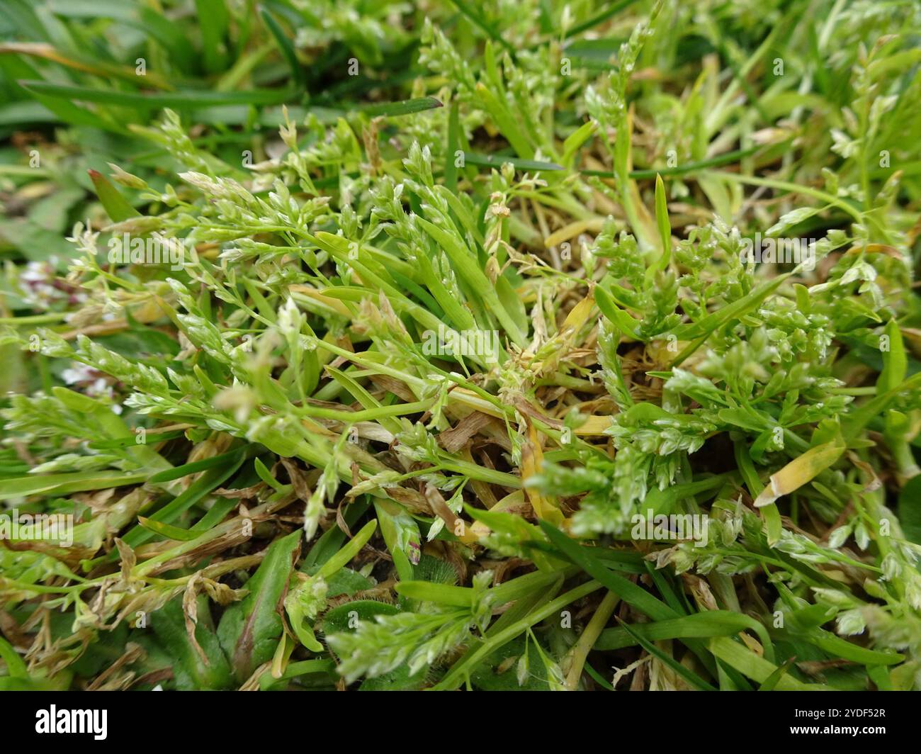 Infirma hi-res stock photography and images - Alamy
