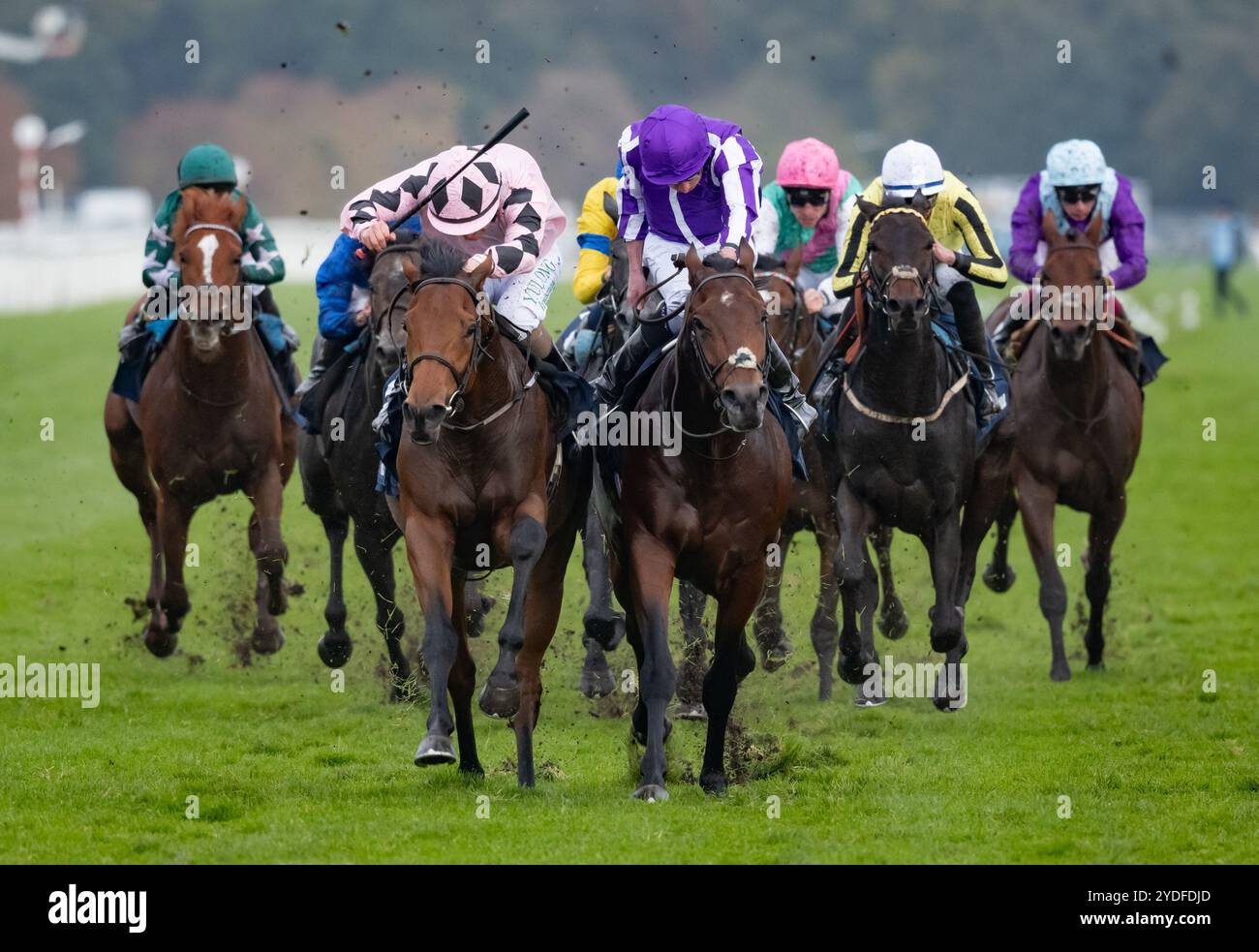 Curragh racecourse 2024 hi-res stock photography and images - Alamy