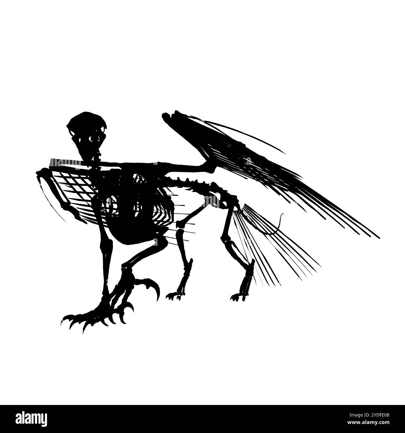 Vector antique engraving drawing illustration of silhouette bird ...
