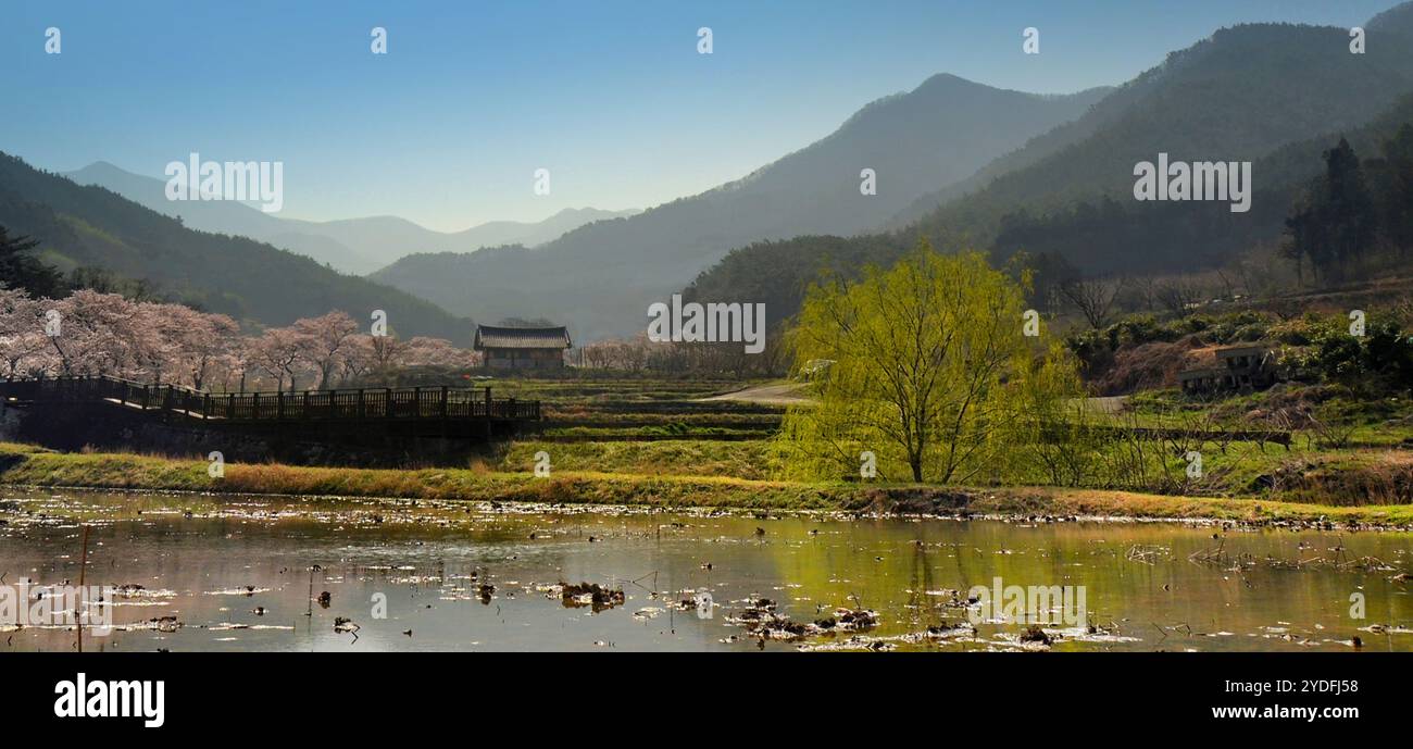 Rural landscape in Jeollanamdo, South Korea Stock Photo - Alamy
