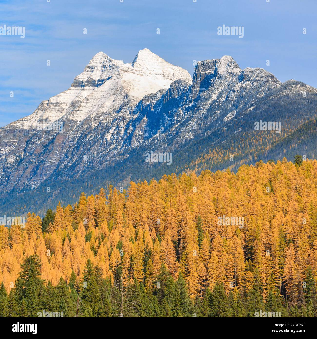 mount stimson and threesuns mountain above autumn larch in glacier ...