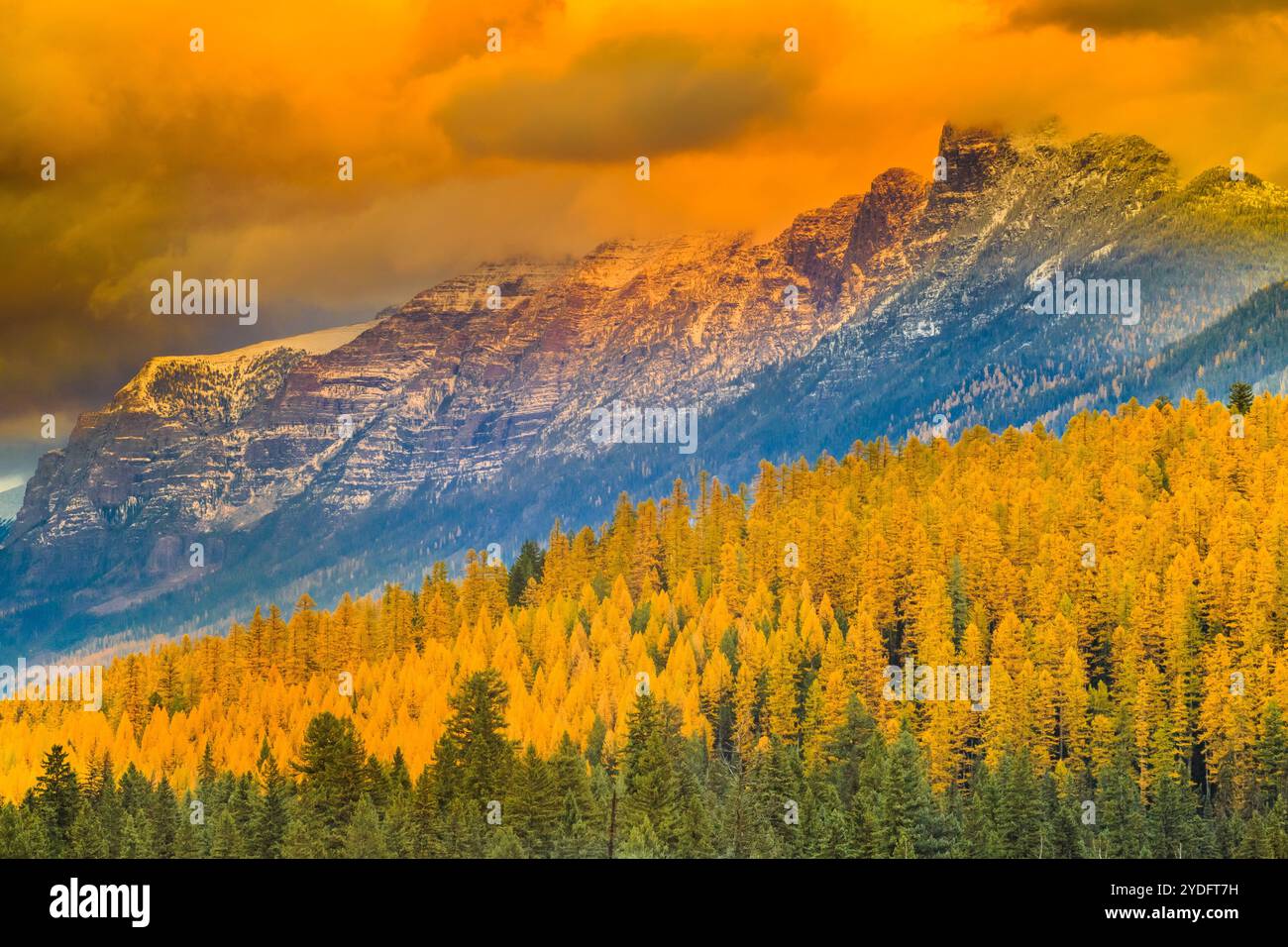 Park sunset big bear hi-res stock photography and images - Alamy