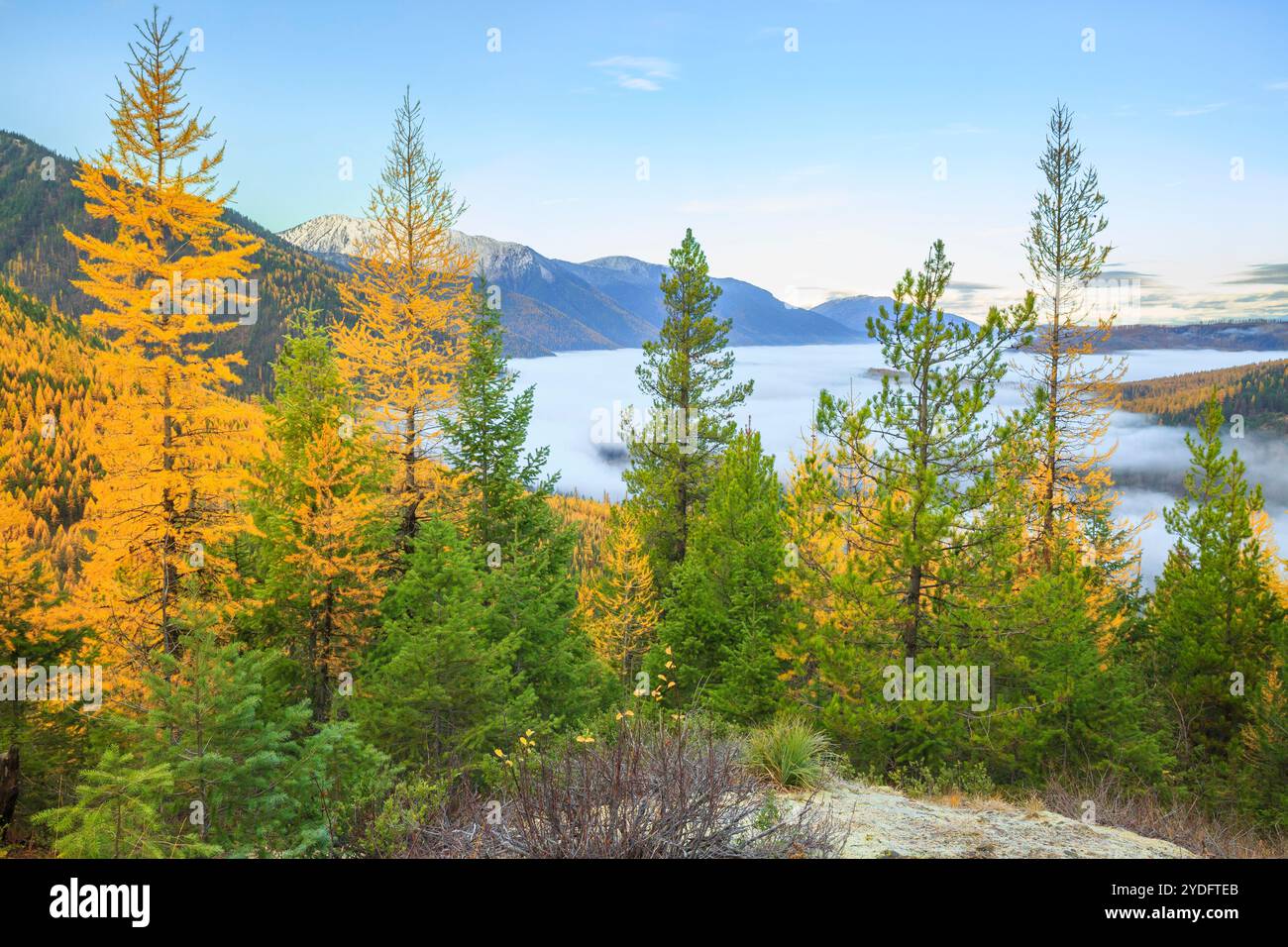 The flathead river valley hi-res stock photography and images - Alamy