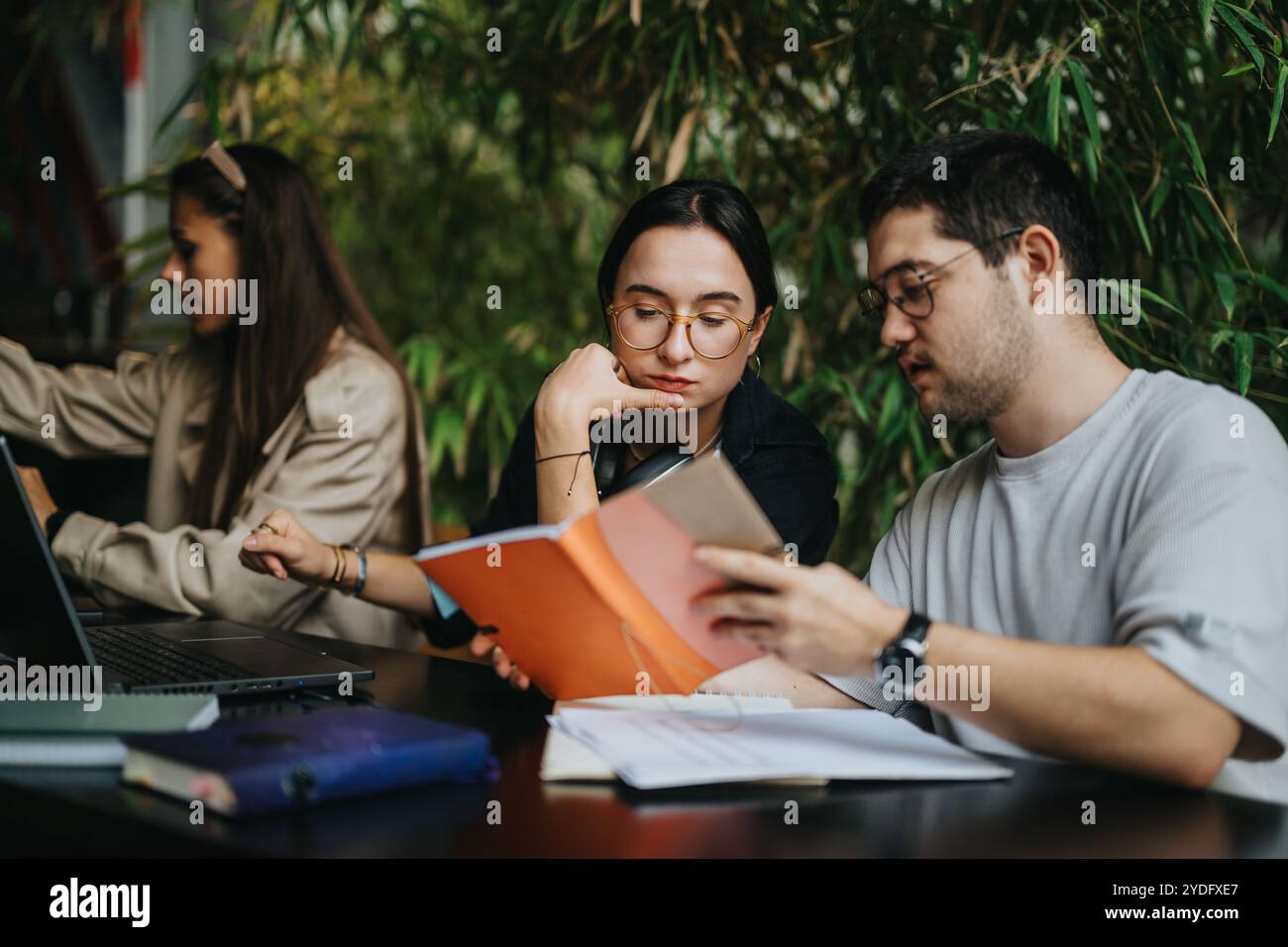 High school students studying together in a cozy coffee shop Stock ...