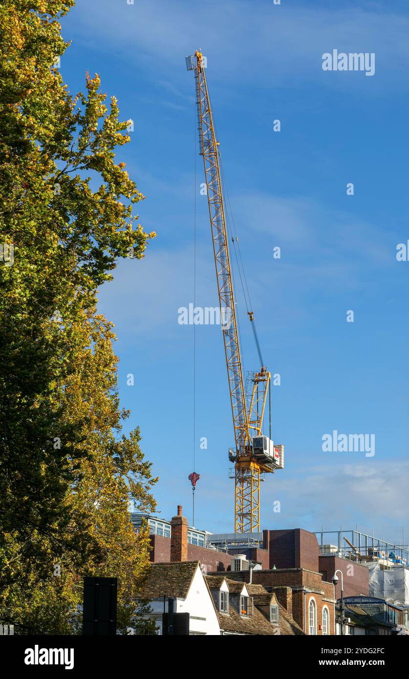 Liebherr 160 HC-L 8/16 Litronic Luffing Jib Crane tower crane ...