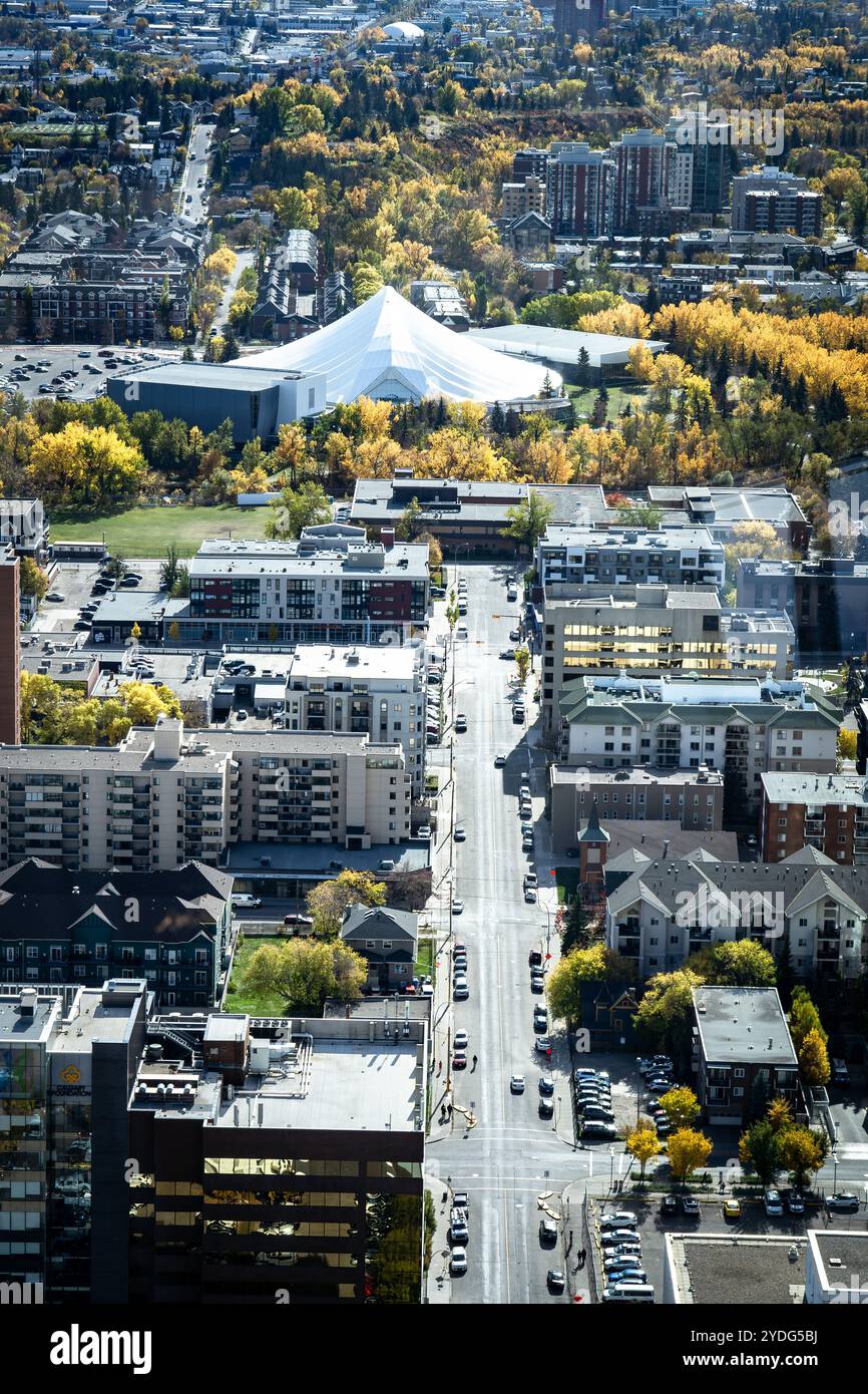 Autumn cityscape looking down view of city streets with trees in fall ...
