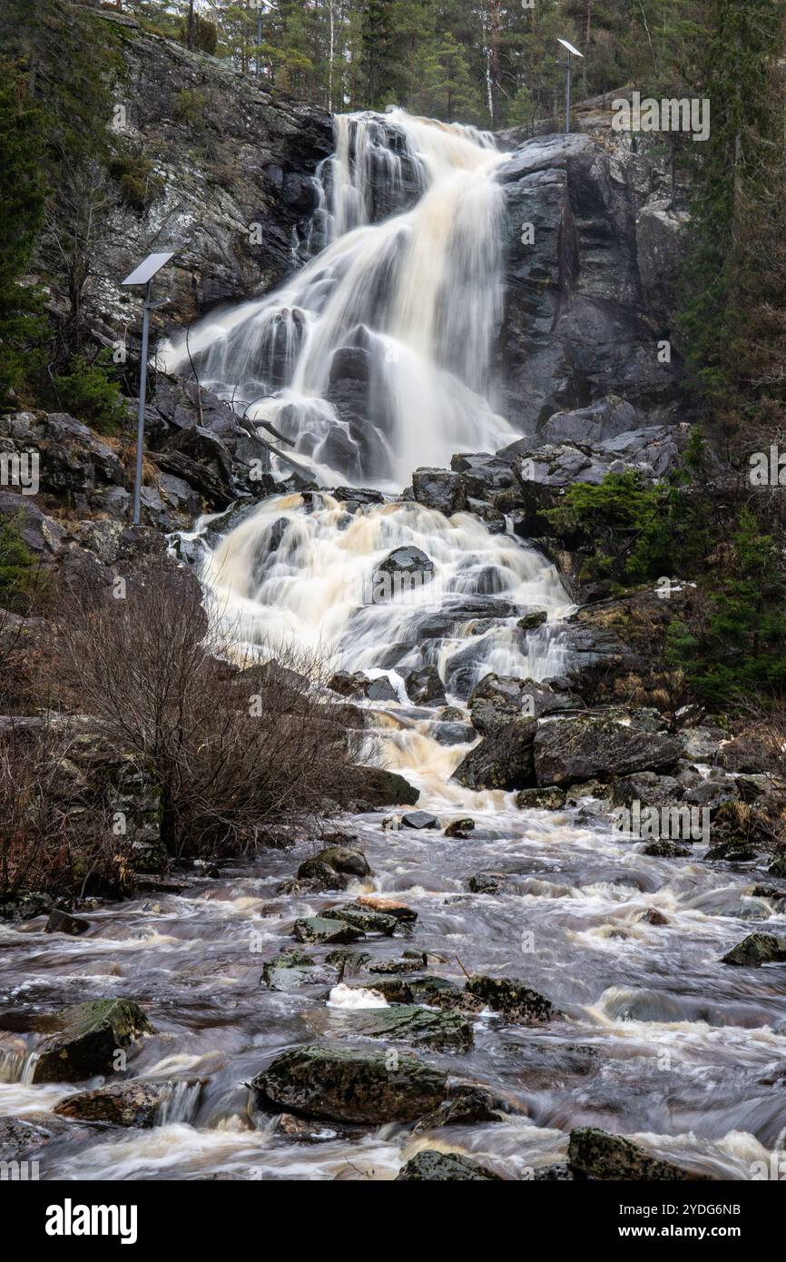 Shot river spring in forest hi-res stock photography and images - Alamy