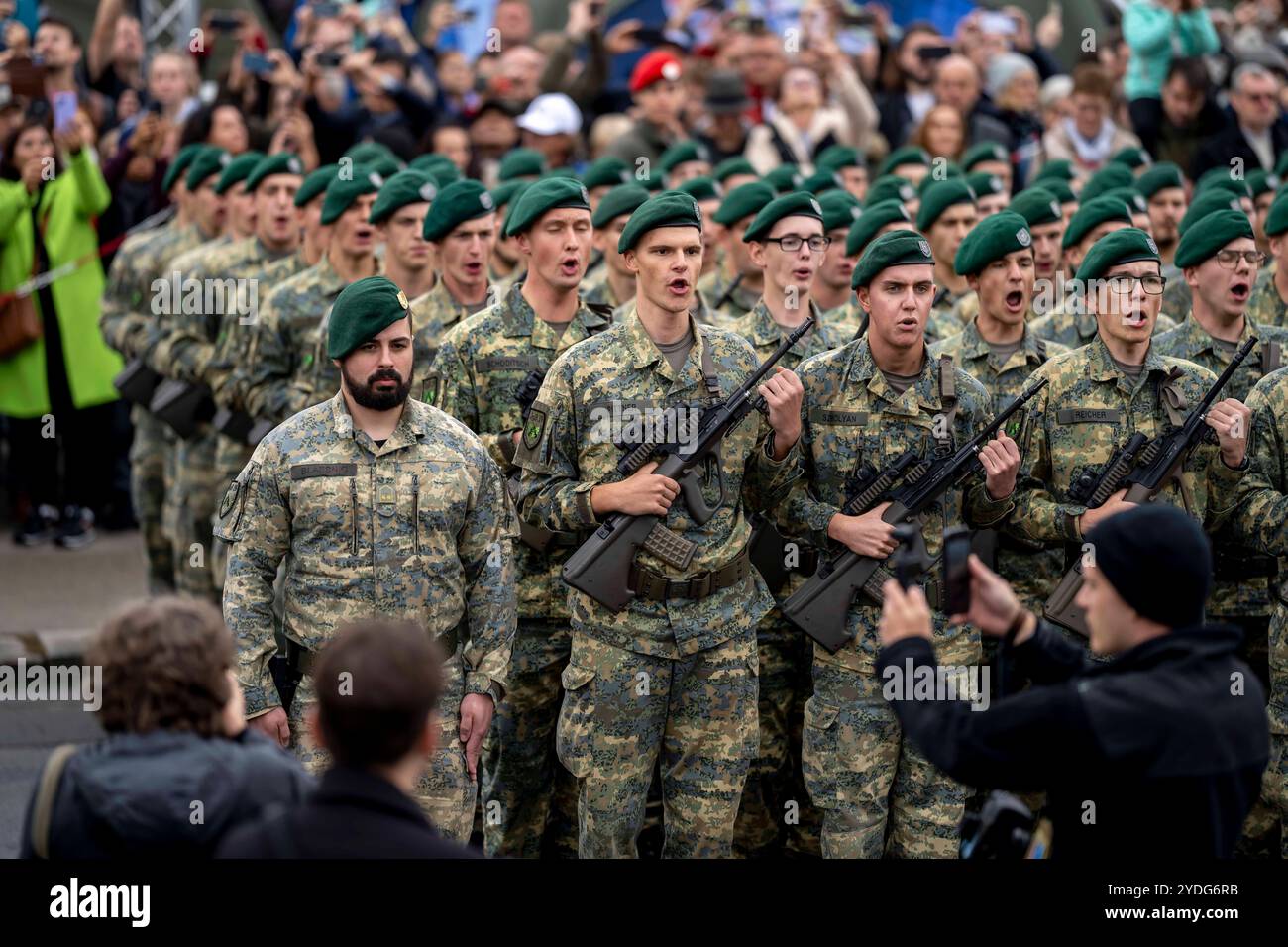 Bundesheer ceremony hi-res stock photography and images - Alamy