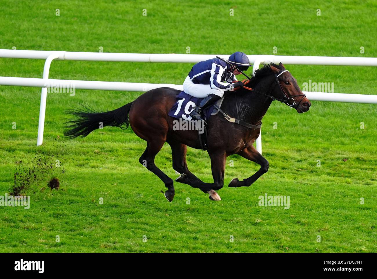 Moree racecourse hi-res stock photography and images - Alamy