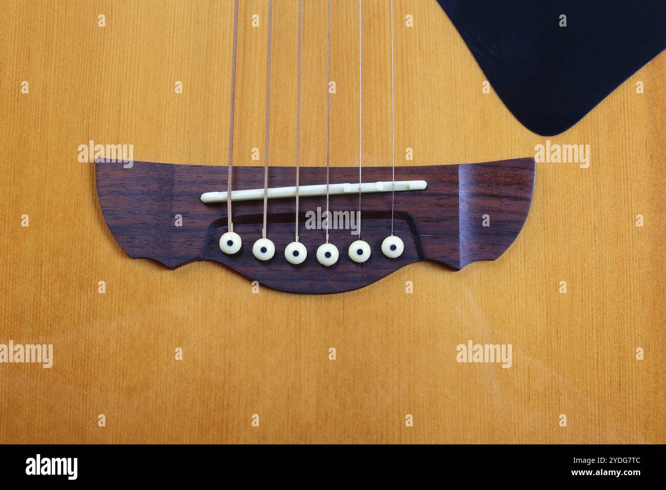 Musical instrument - Closeup top view bridge acoustic guitar, pins and ...