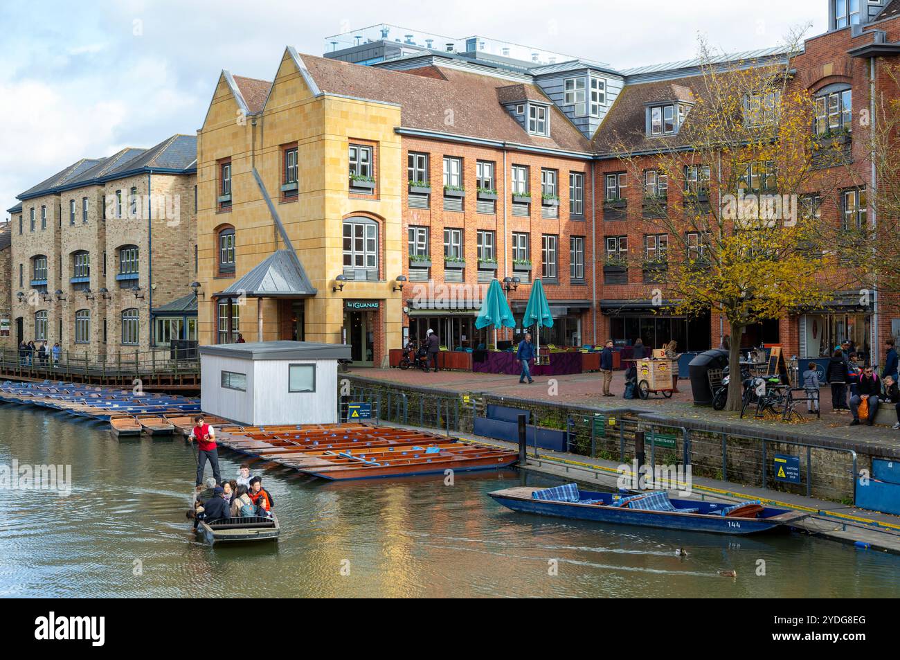 Punting on River Cam seen from Magdalene Bridge, Cambridge ...