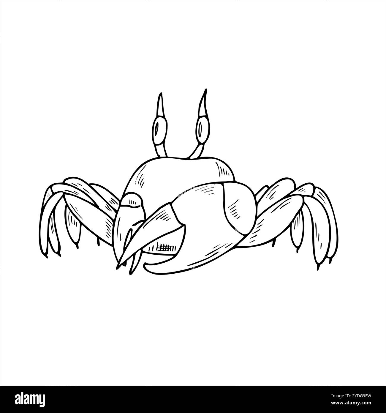 Vector cartoon Fiddler crab with big claw line art black ink isolated ...