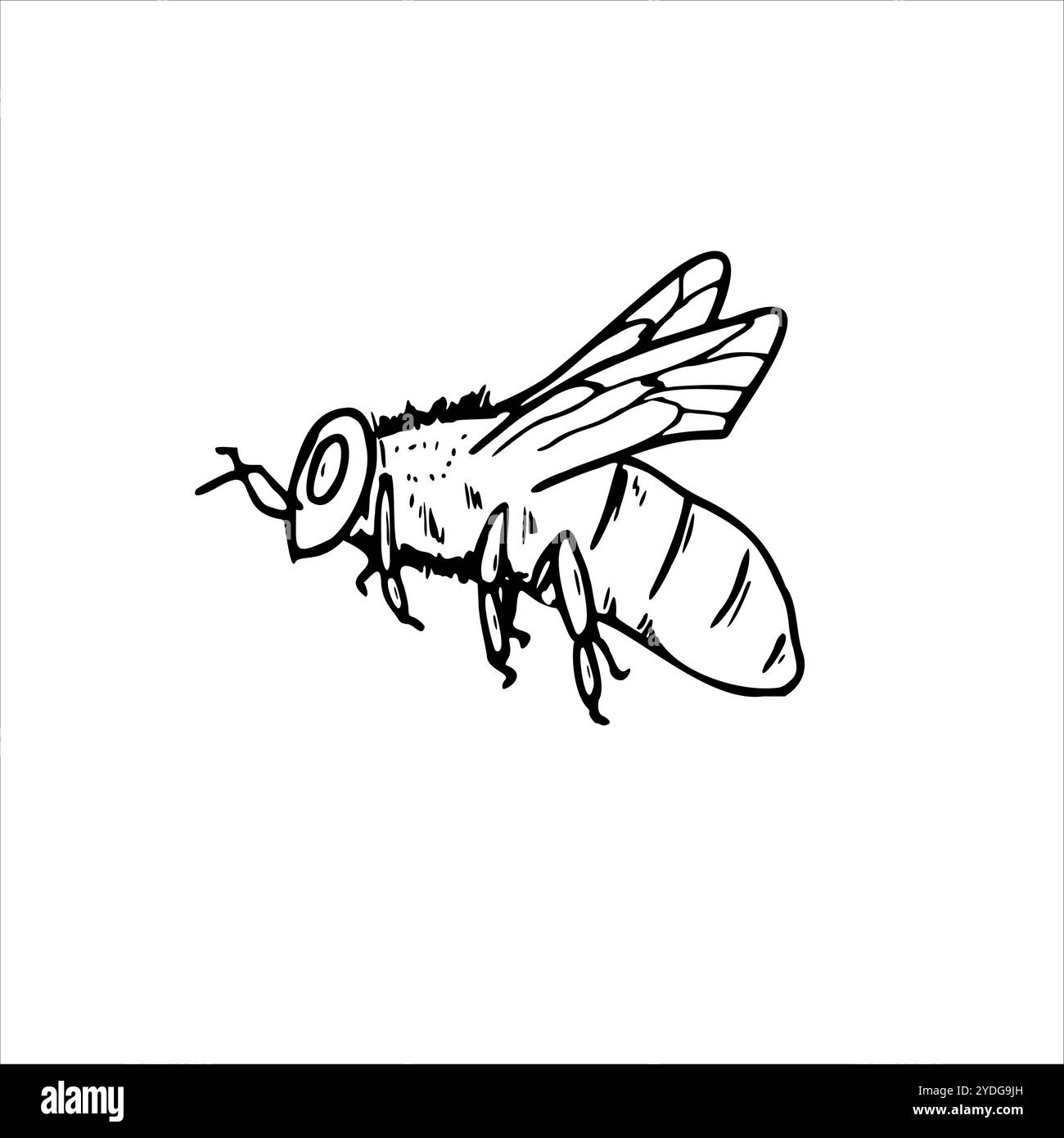 Abstract honey bee vector isolated illustration in black and white ...