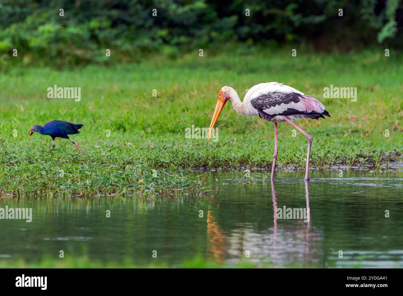 Artistic line work hi-res stock photography and images - Alamy