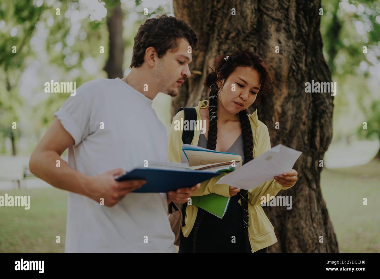 Two multicultural students studying outdoors in a sunny park setting ...