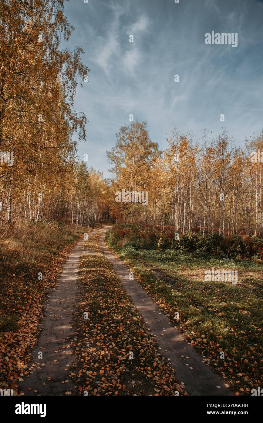 Footpath through rural park hi-res stock photography and images - Alamy