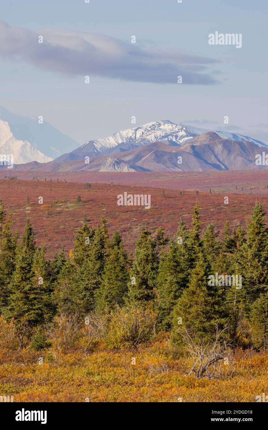 Scenic Autumn Landscape in Denali National Park Alaska Stock Photo - Alamy