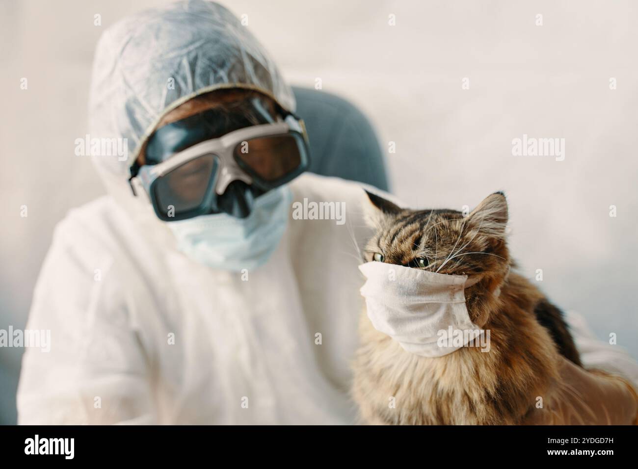 Person and cat in PPE at medical setting, emphasizing safety during ...