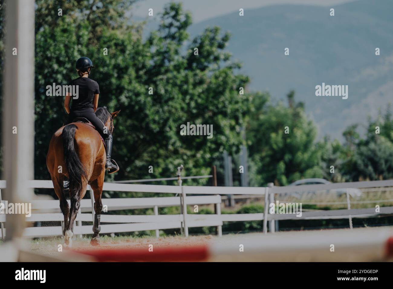 Young equestrian riding a horse at an outdoor arena Stock Photo - Alamy