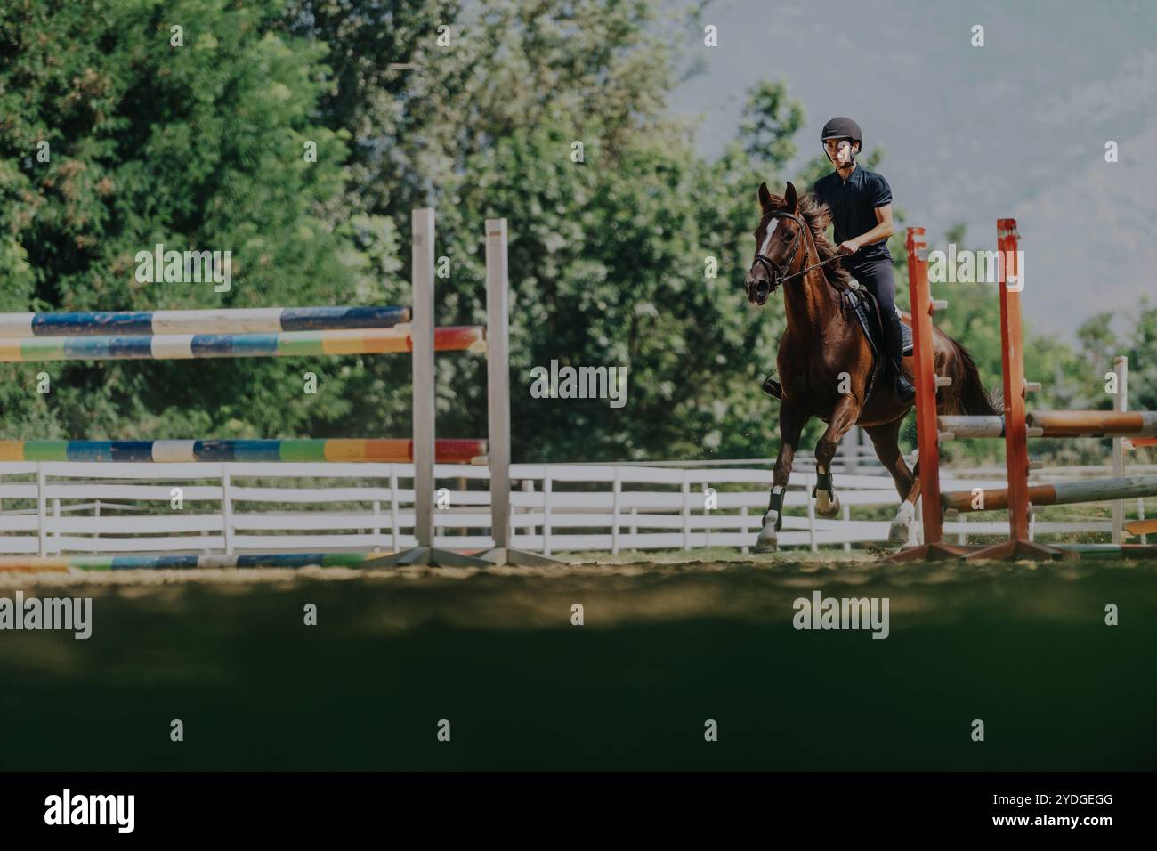 Horse rider practicing show jumping in sunny outdoor arena Stock Photo ...