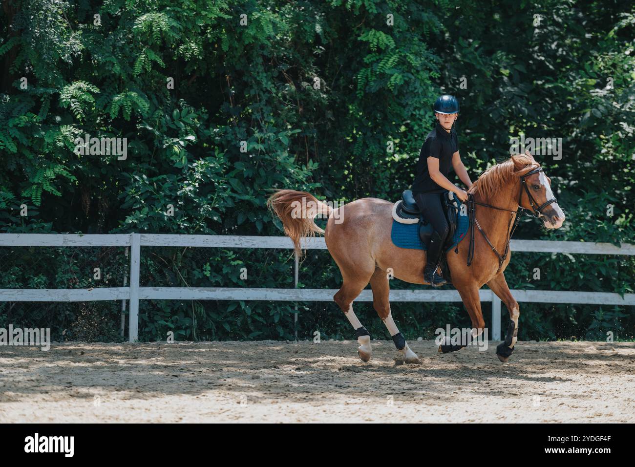 Equestrian rider practicing horseback riding in an outdoor arena Stock ...