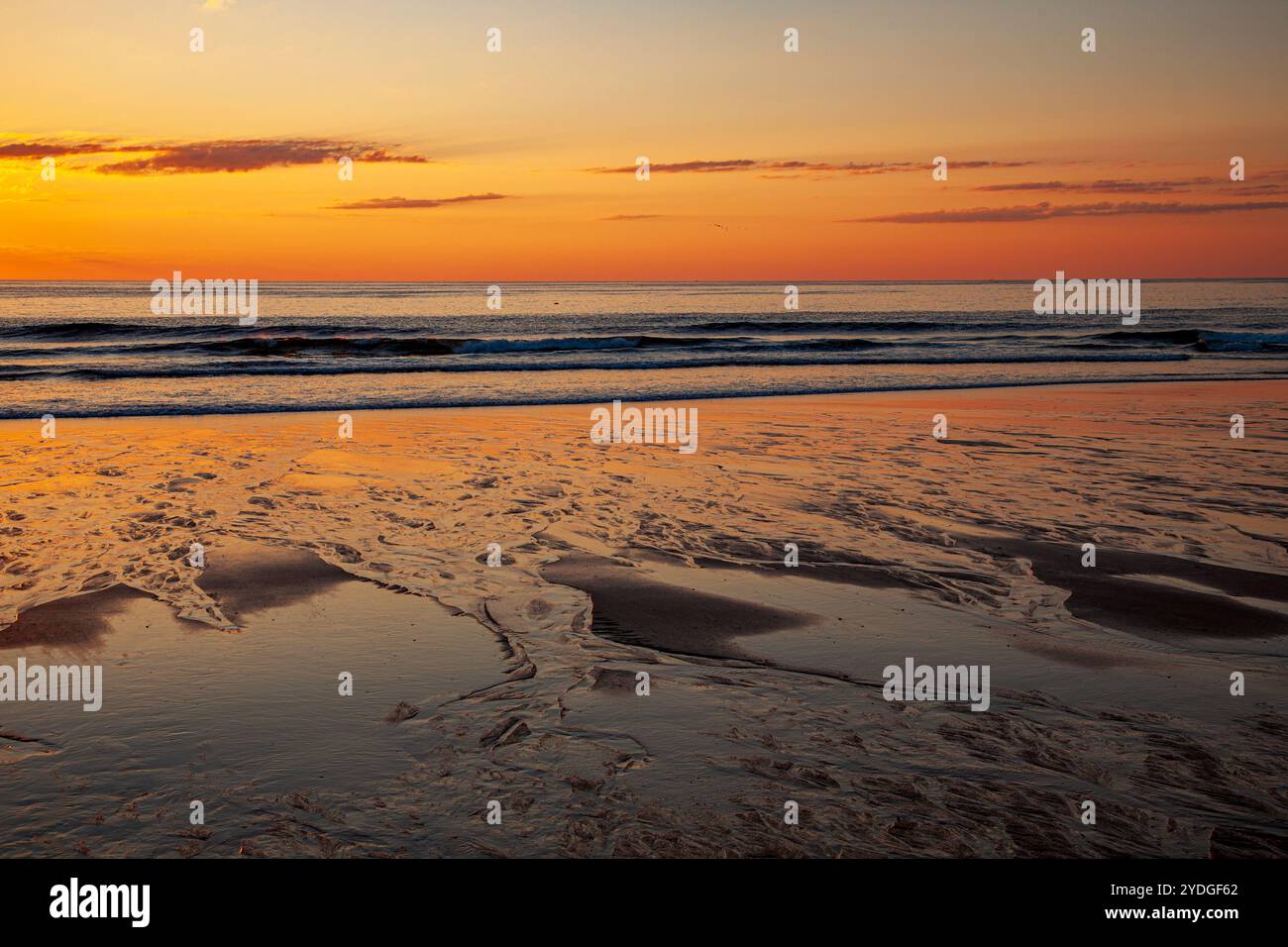 Nauset Beach on Cape Cod at sunrise Stock Photo - Alamy