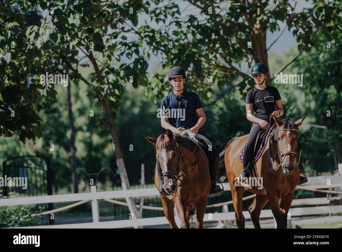 Two equestrians riding in horses hi-res stock photography and images ...