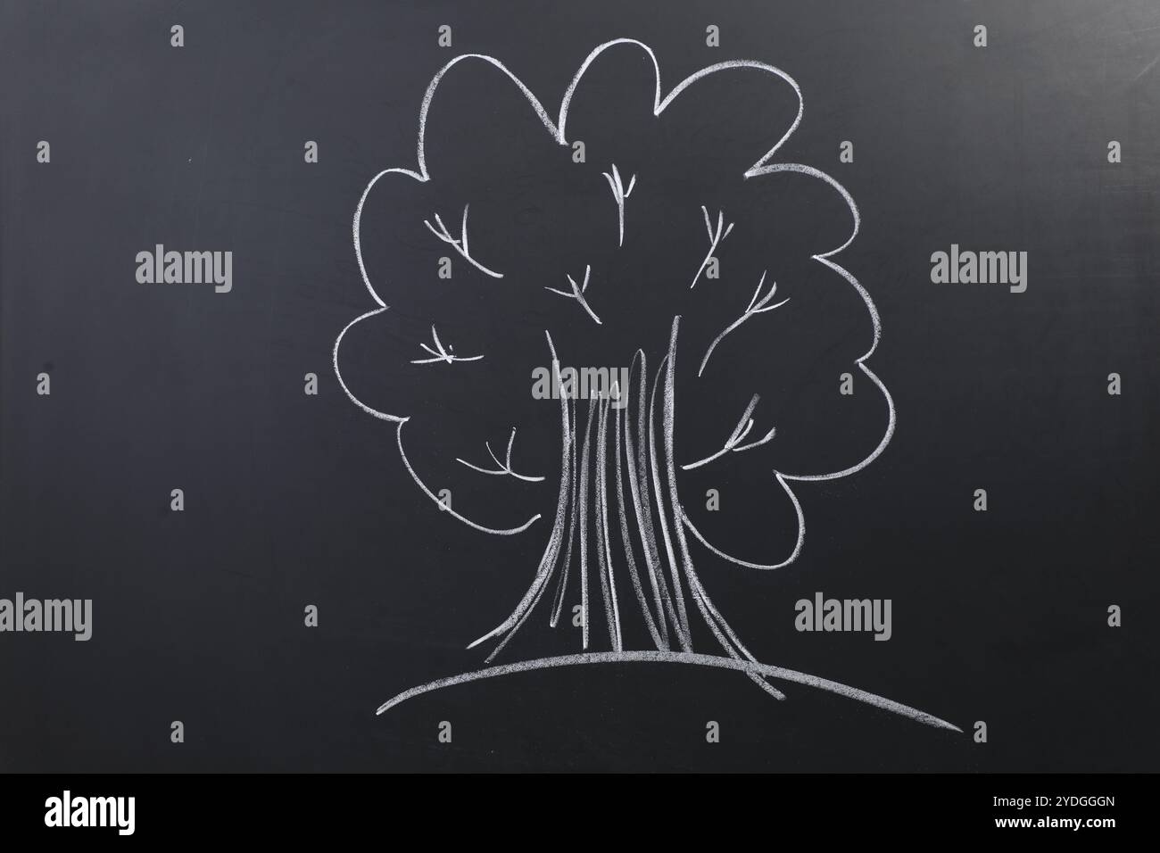 Tree classroom hi-res stock photography and images - Alamy