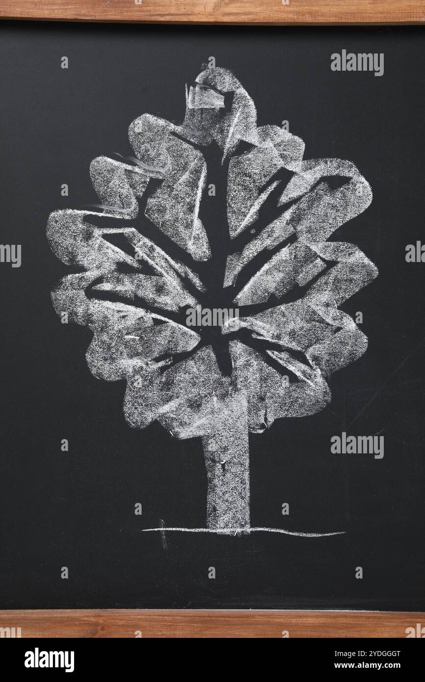 Creative picture of tree hi-res stock photography and images - Alamy