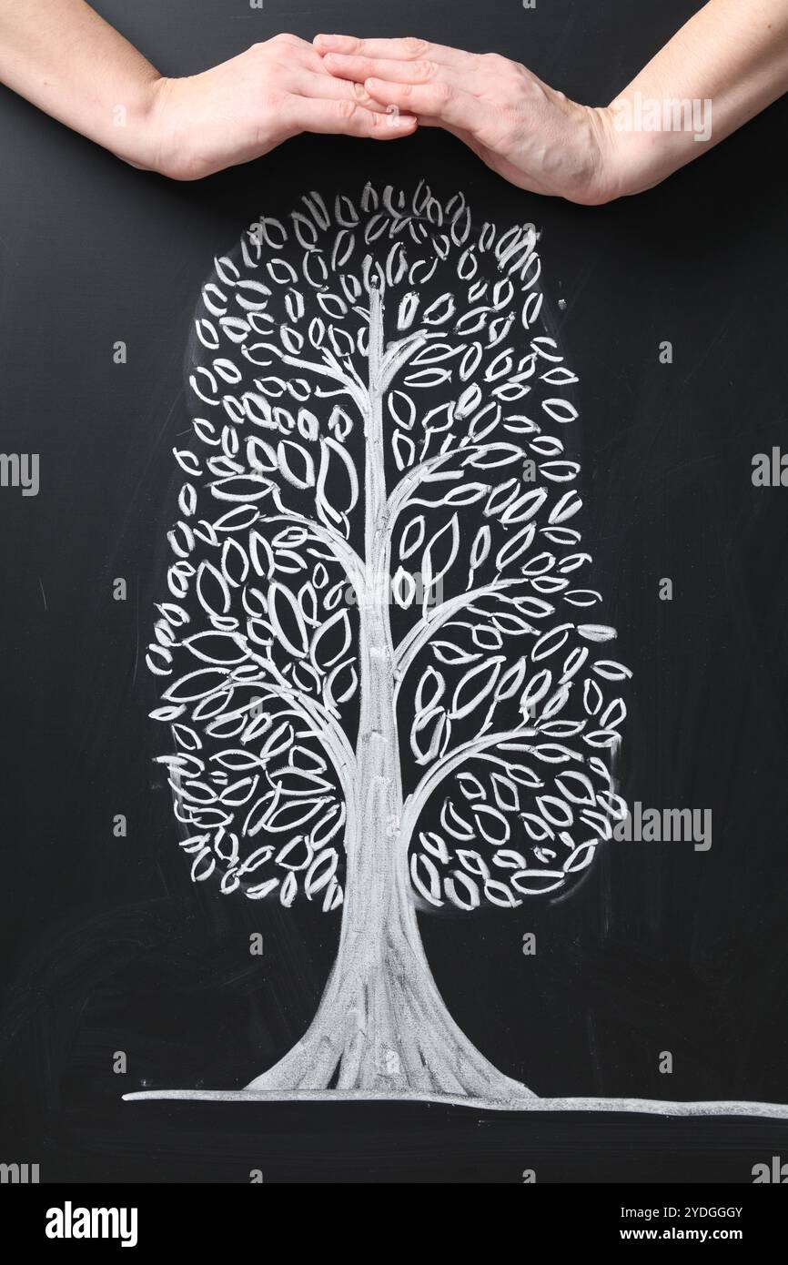 Woman keeping safe tree hi-res stock photography and images - Alamy