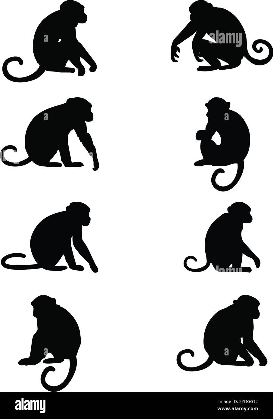 Monkey poses hi-res stock photography and images - Alamy