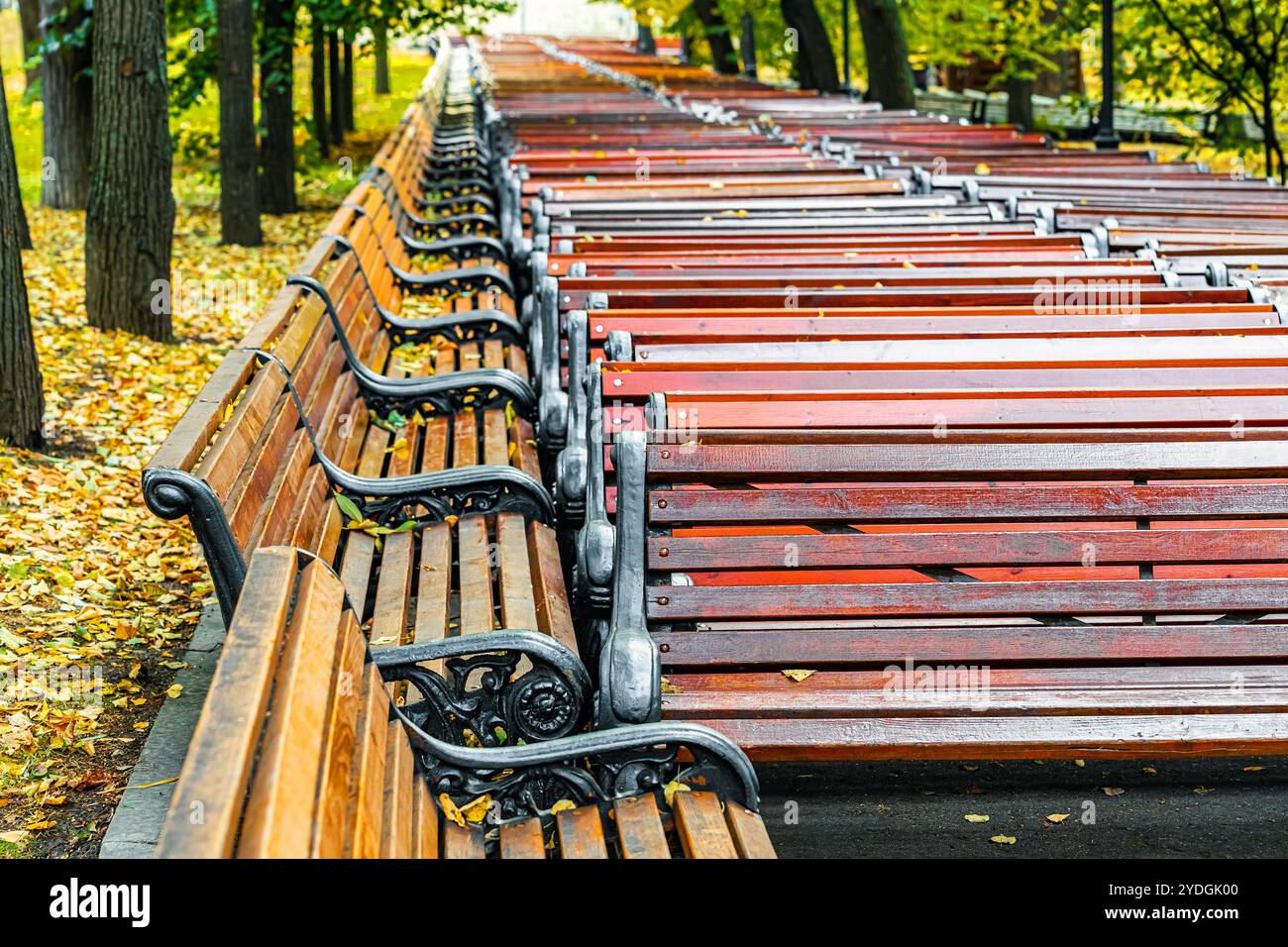 wooden benches lined up in a row in an autumn park. closing of the ...