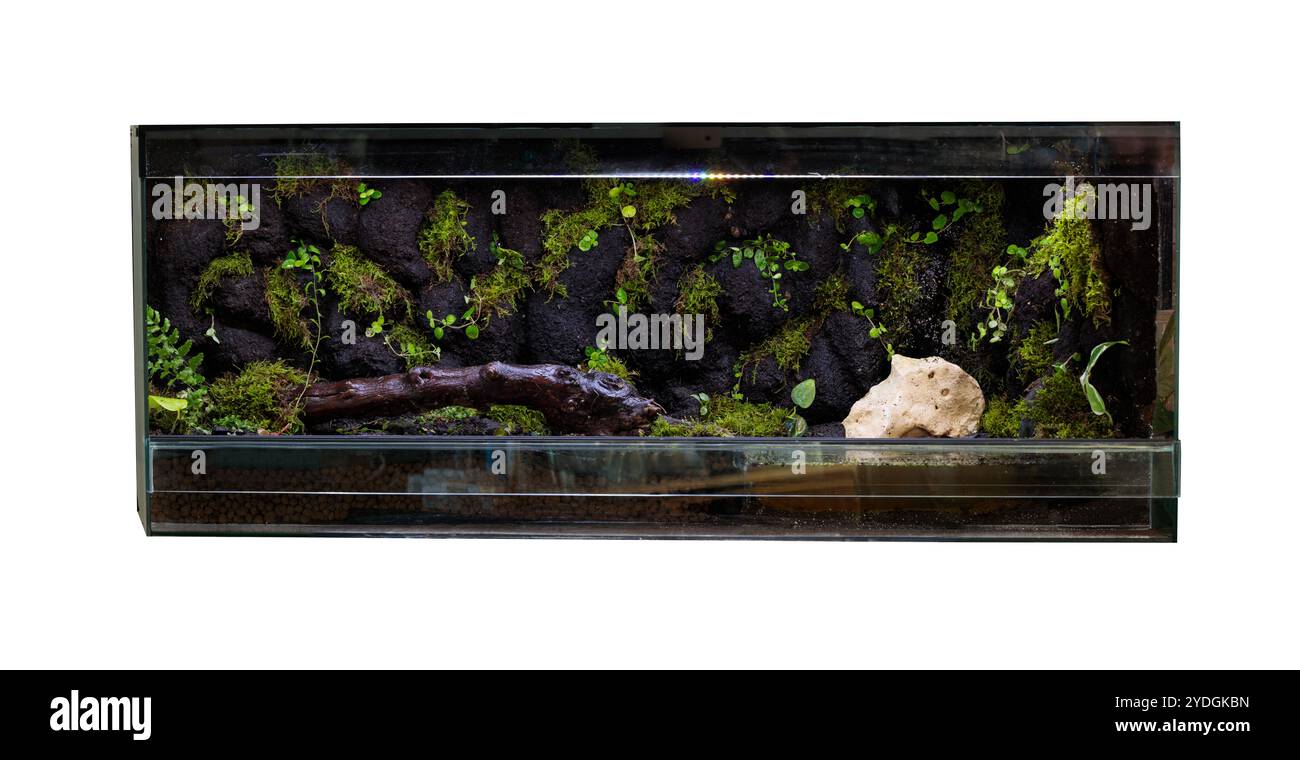 Bioactive setup hi-res stock photography and images - Alamy