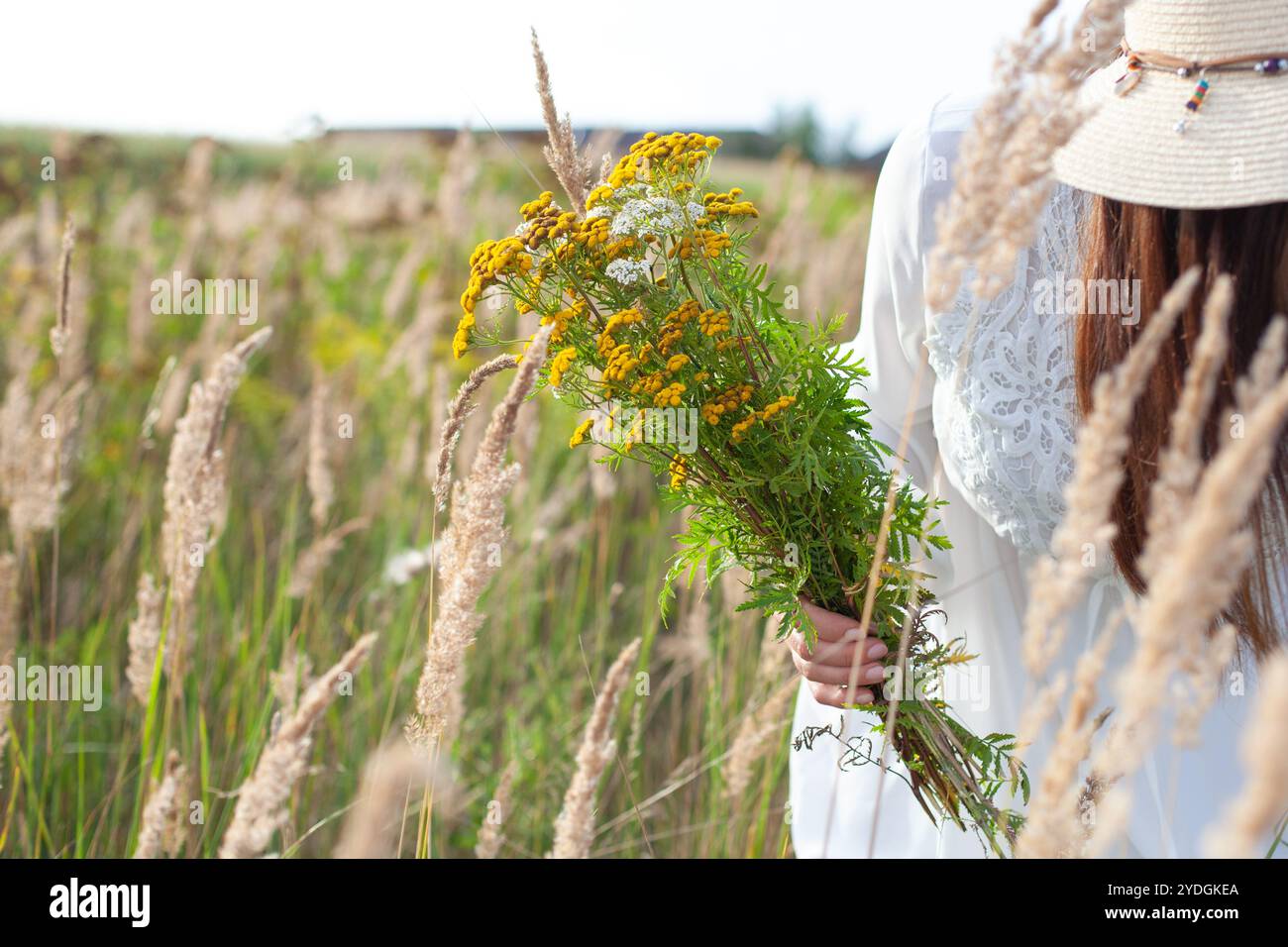 Straw gathering hi-res stock photography and images - Alamy