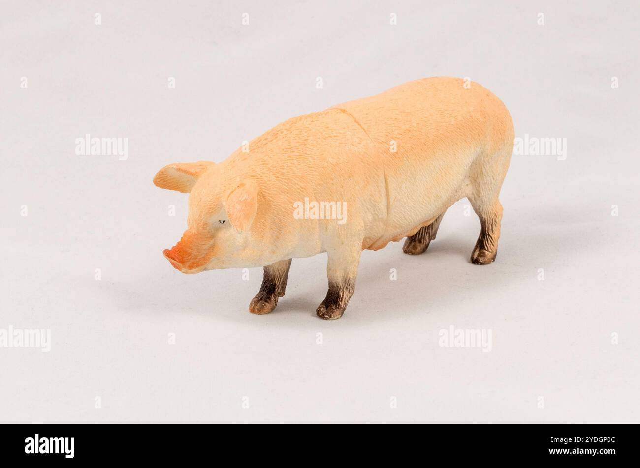Toy pig model, isolated on white background Stock Photo - Alamy