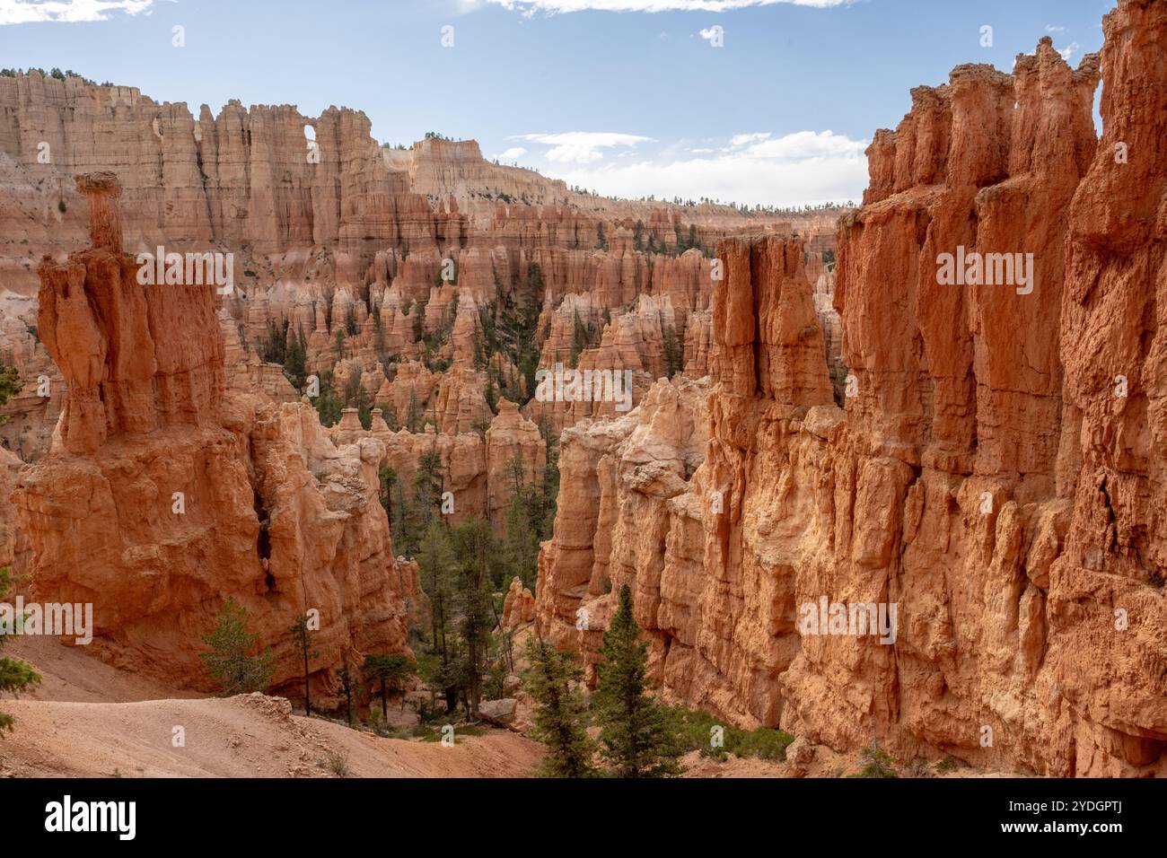 Thors Hammer and Valley into Amphitheater in Bryce Canyon Stock Photo ...