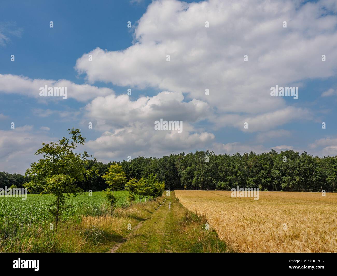 Hiking at reken in the german muensterland Stock Photo - Alamy