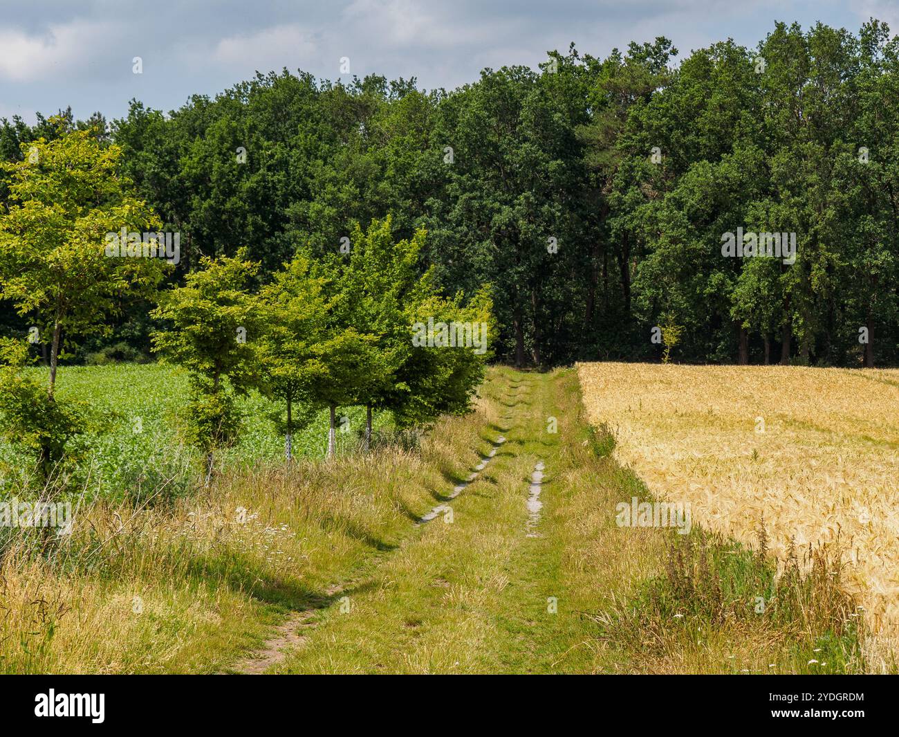 Hiking at reken in the german muensterland Stock Photo - Alamy