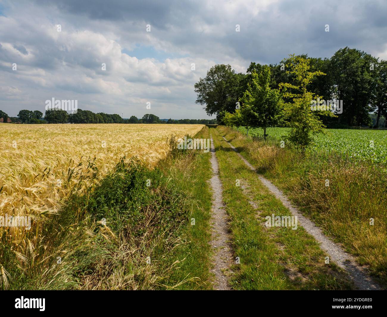 Hiking at reken in the german muensterland Stock Photo - Alamy