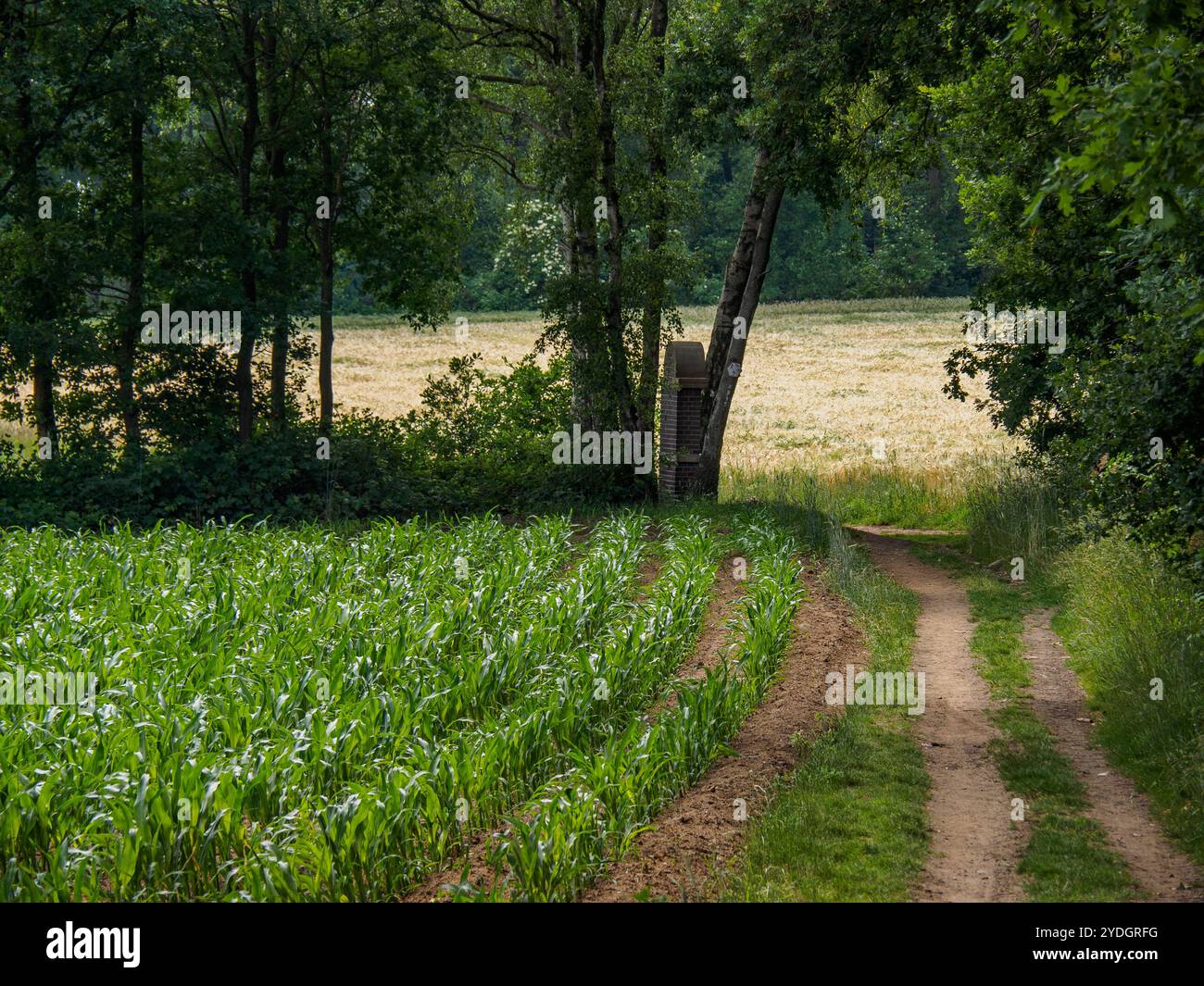 Hiking at reken in the german muensterland Stock Photo - Alamy