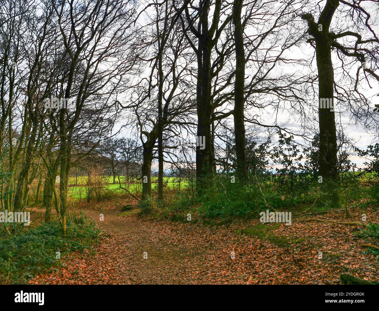 Hiking at reken in the german muensterland Stock Photo - Alamy