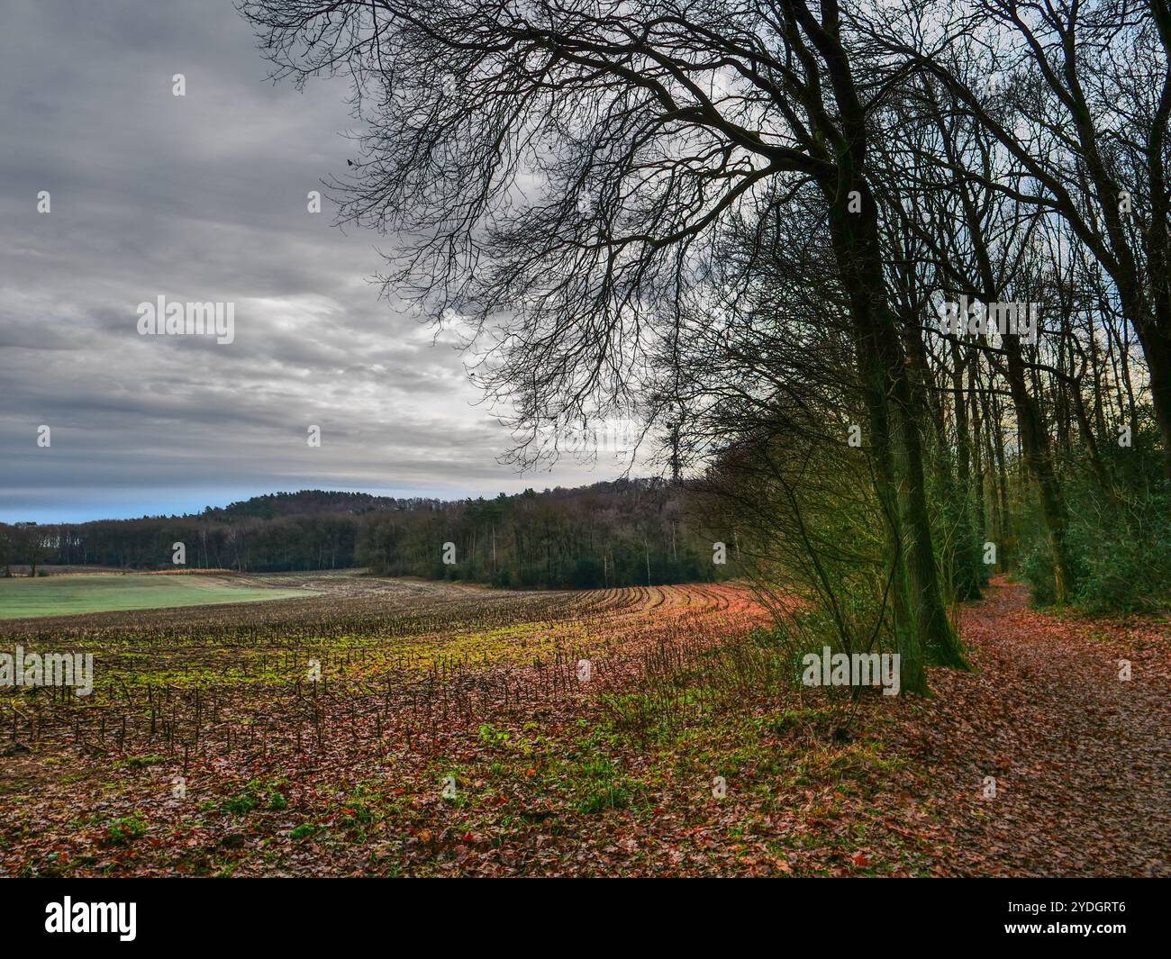 Hiking at reken in the german muensterland Stock Photo - Alamy
