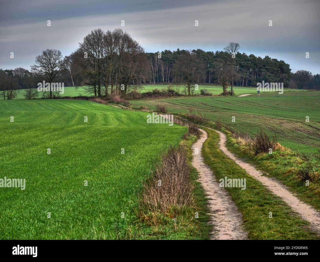 Hiking at reken in the german muensterland Stock Photo - Alamy