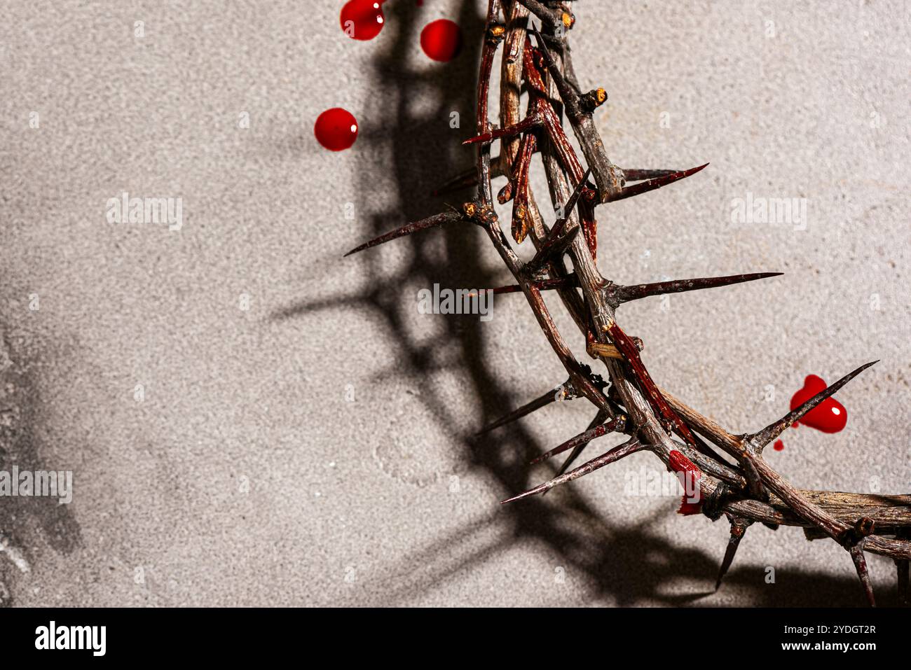 Crown of thorns with blood drops on gray stone background close up ...