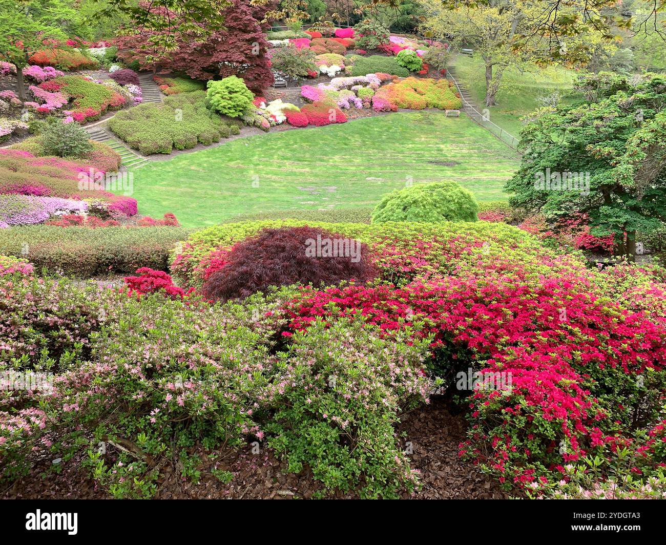 Virginia Water, Surrey, UK. 23rd April, 2024. A beautiful display of ...